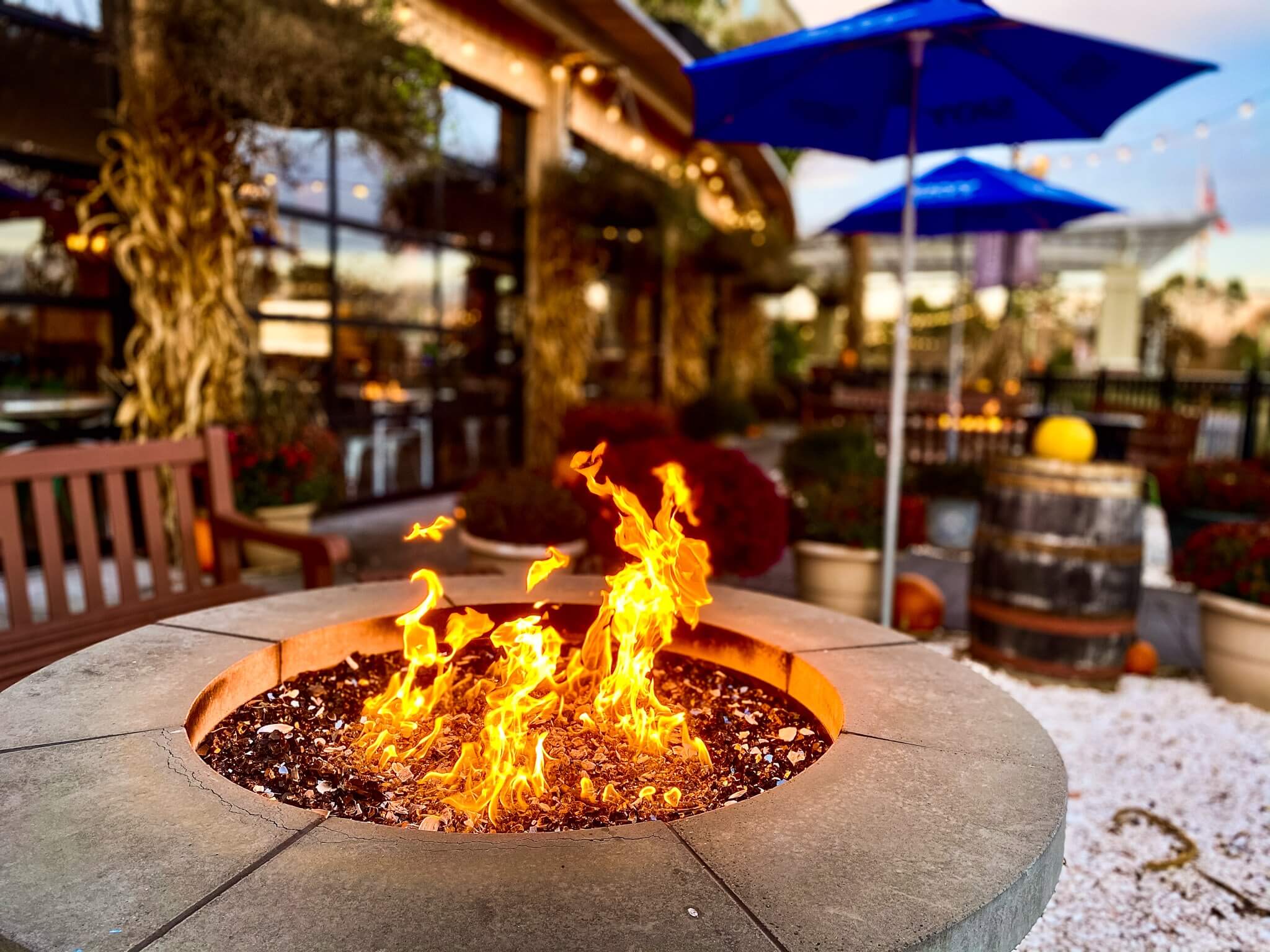 Live Music Every Week | The Mainland Kitchen + Pub | NJ